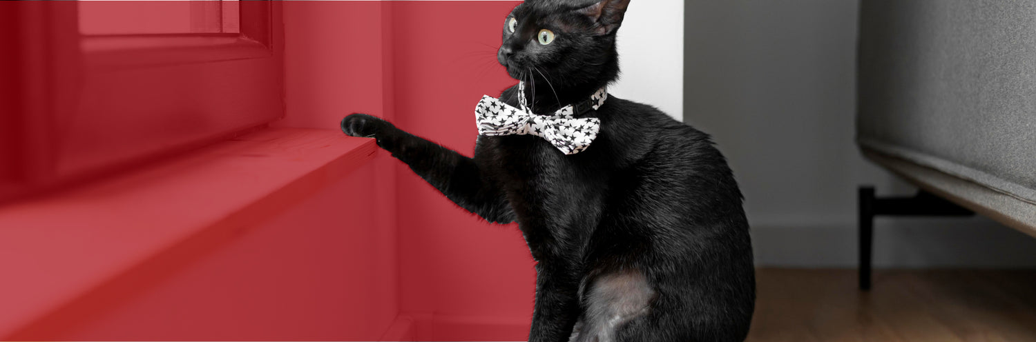 Contact – English Pet Supplies